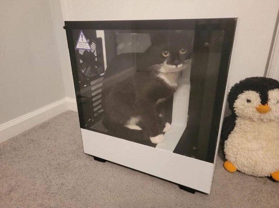 CPU: Cat Purring Unit – /root