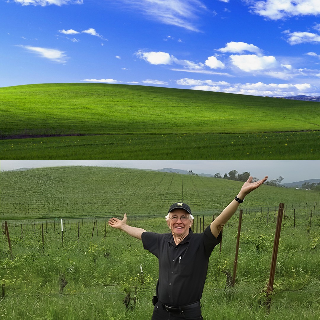 The Iconic Windows Xp Bliss Hill Root